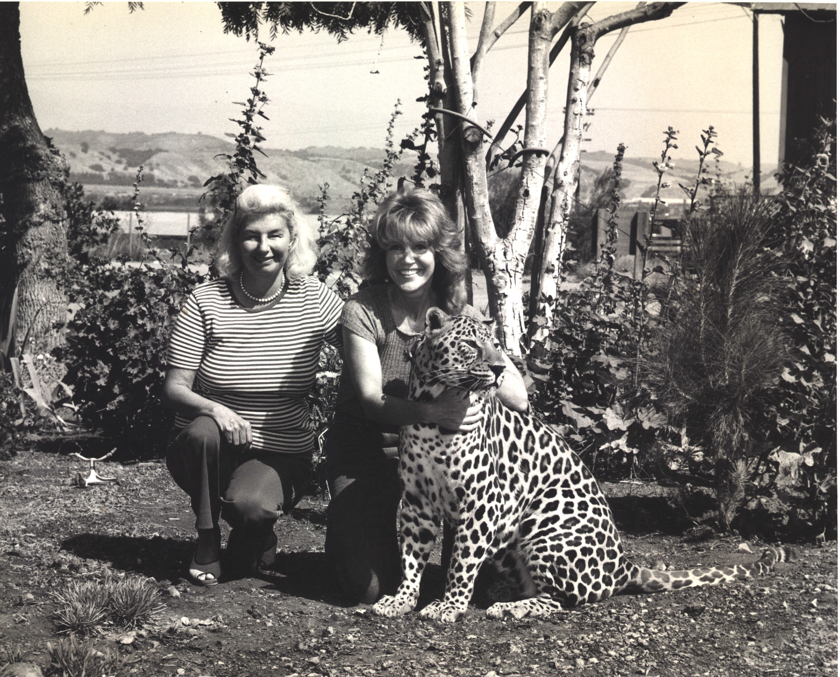 Violet Parkhurst (1921-2008) – Seascapes, sunsets and seashores – Dayne ...